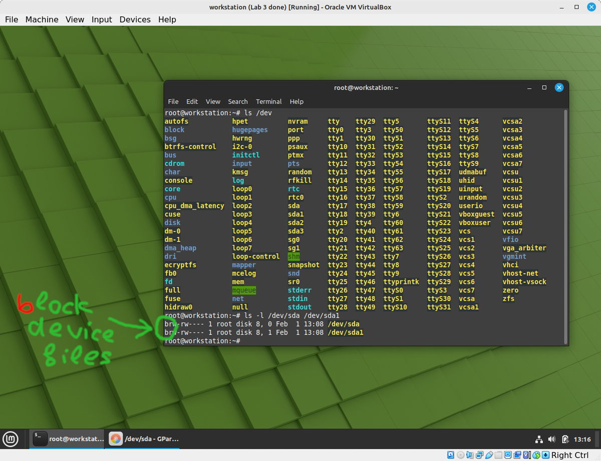 OPS245 Lab 4 - Littlesvr Wiki